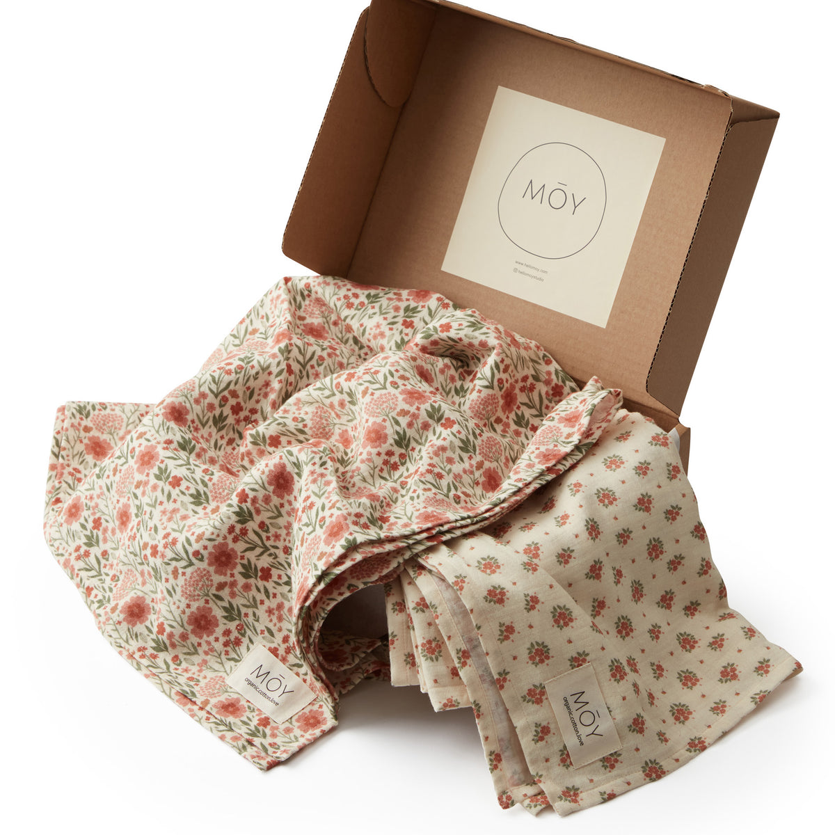 טטרות – Moy Studio