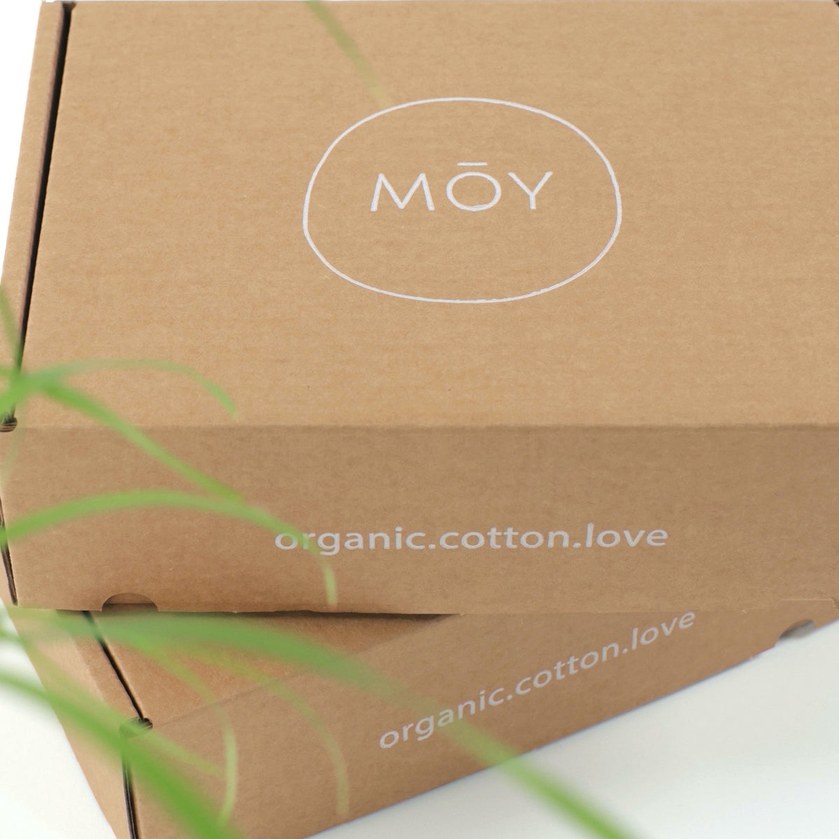 recommended-products – Moy Studio