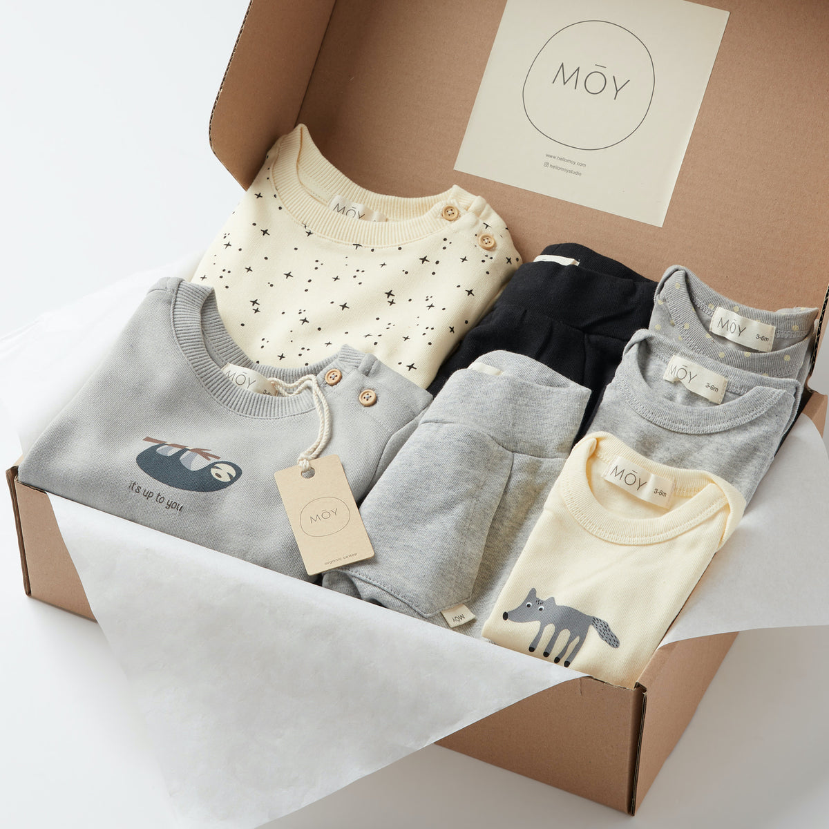 מארז ״סאם״ – Moy Studio